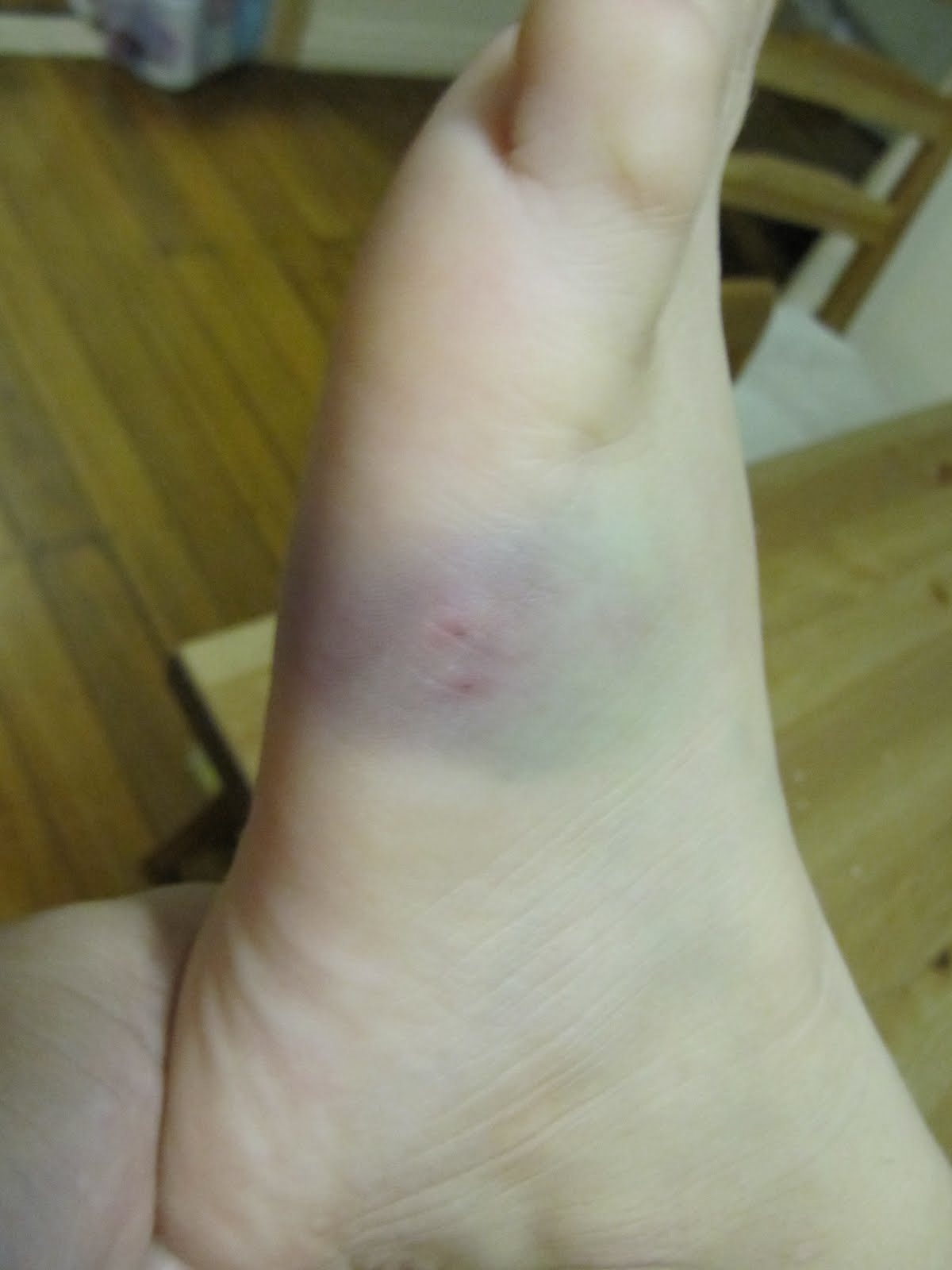 1 2 3 4 Kicked my toe on the door!: [almost] 6 year old boy + Eastern ...