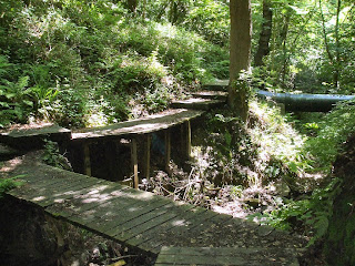 Photographs Of Newcastle: Sugley Dene