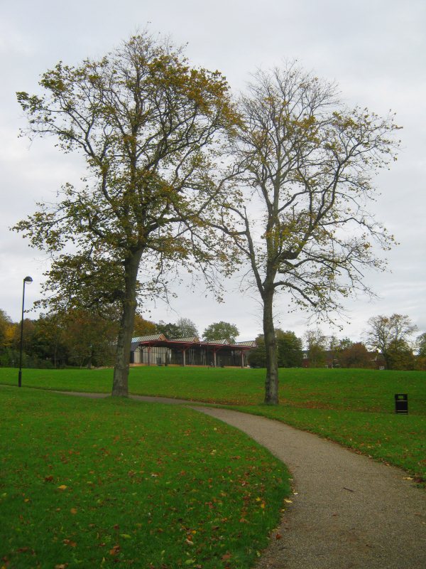 Photographs Of Newcastle: Elswick Park