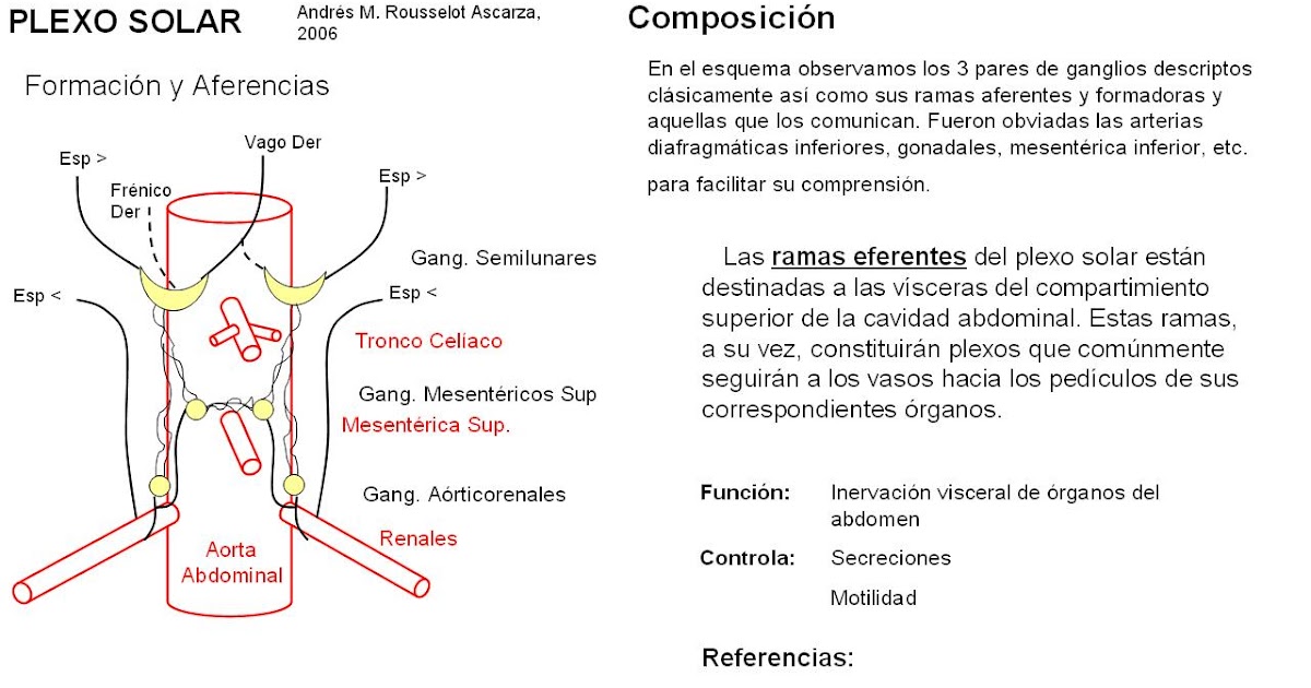 Anatomía Normal: Plexo Solar