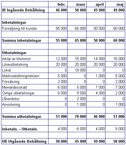 All in One UF: Resultat och Likviditetsbudget