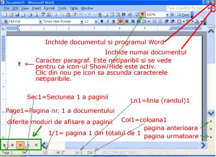Instrumene de formatare in word: Pagina de start