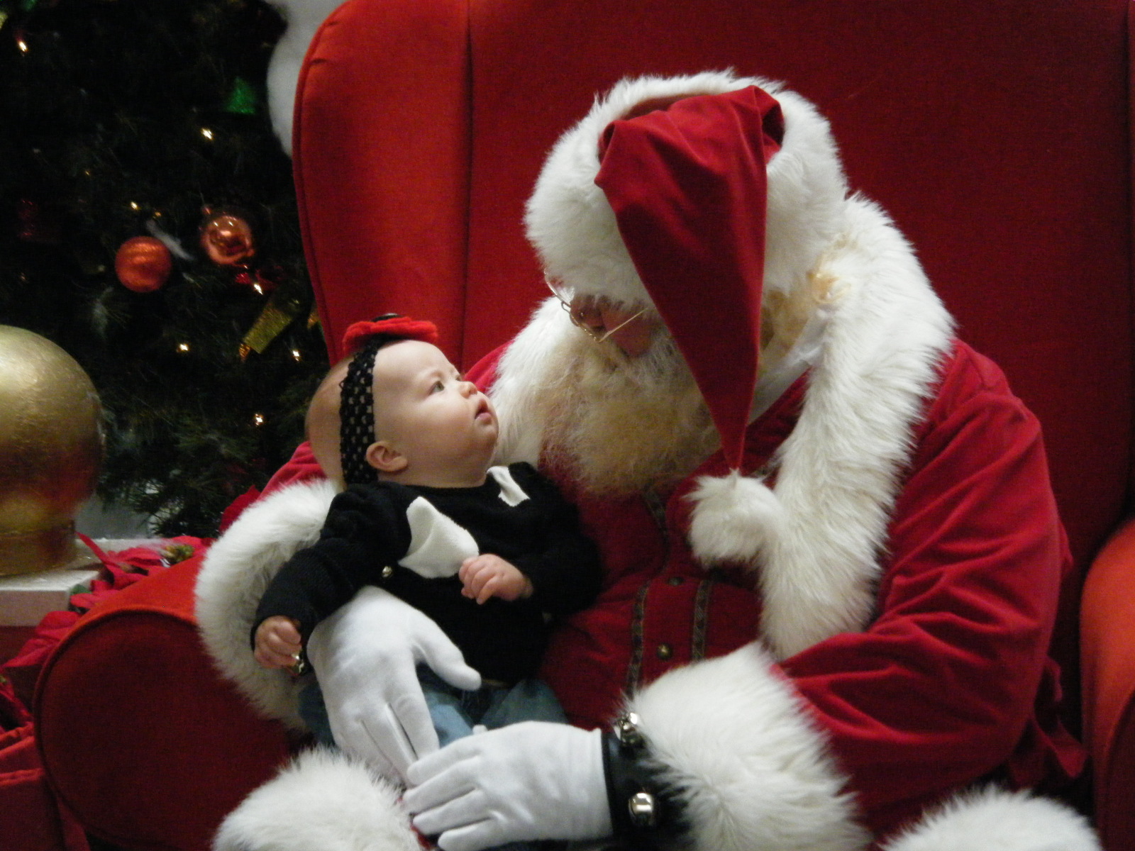 The Yearout's: Turkey, Santa & much more