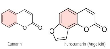 Aromatherapy :: | :: Aromatherapie: Cumarine und Fur(an)ocumarine