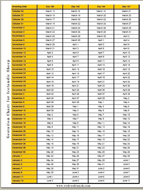 Red Roof Ranch Blog: Printable Icelandic Sheep Gestation Chart