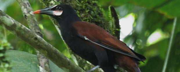 TODOS LOS ANIMALES; SON UN TESORO PARA "EL PLANETA"..: Uno de los ...