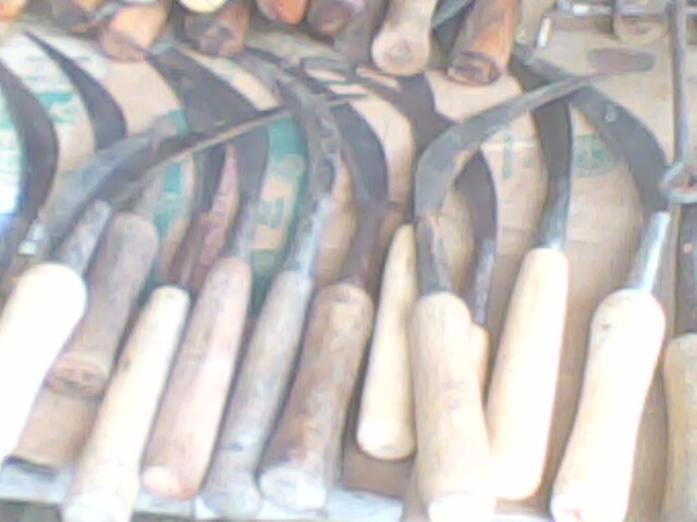 bolo makers: Bolo Makers