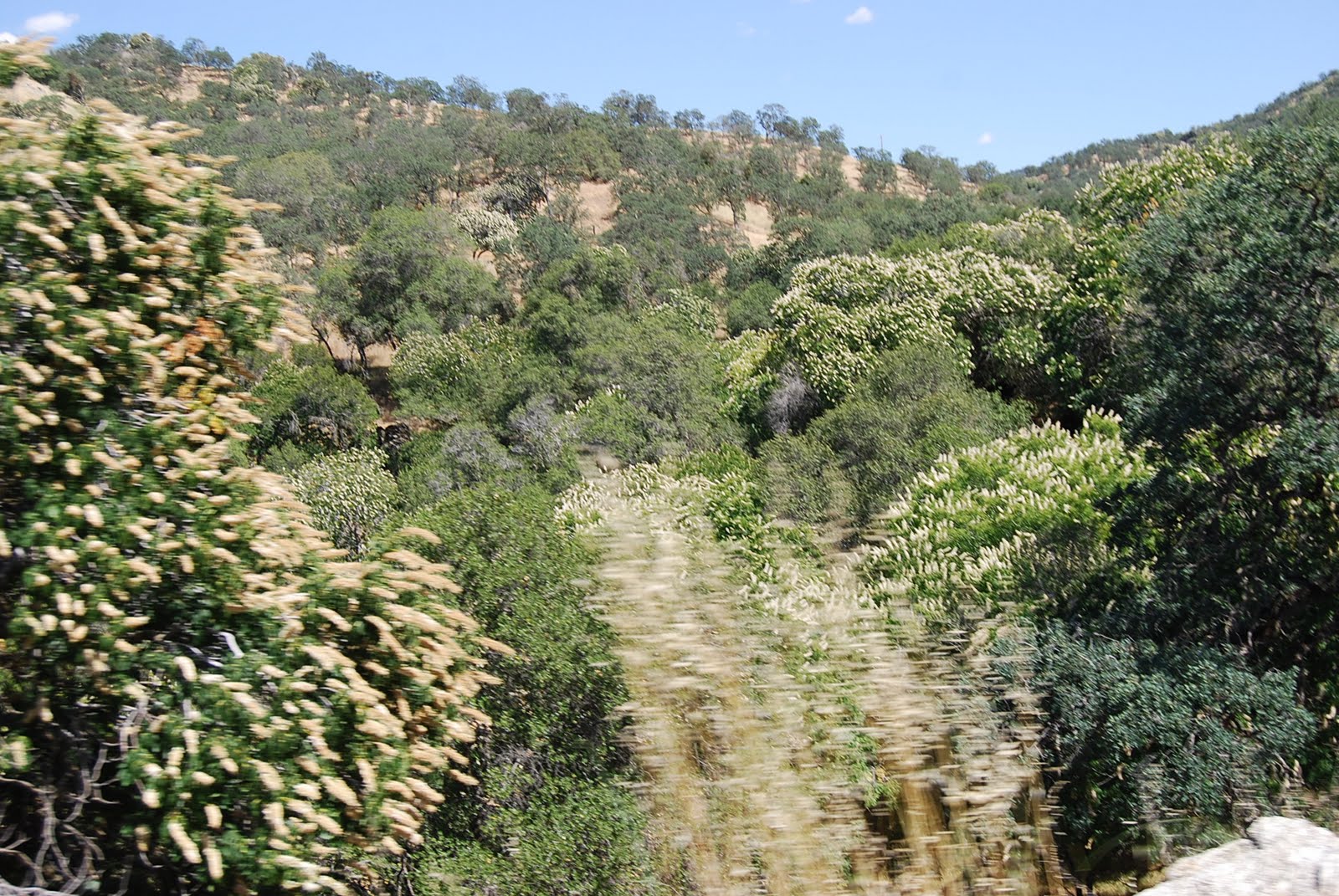 Wilamar Farm: Glennville-Posey-Balance Rock-Poso Park