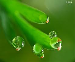 MEGA Dream 4P (Pendidik,Penulis, Pemotivasi,Penginspirasi)Bisa ...