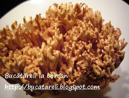 Bucătăreli la borcan: Din coşul cu ciuperci (2): o ciupercă rară în sos ...