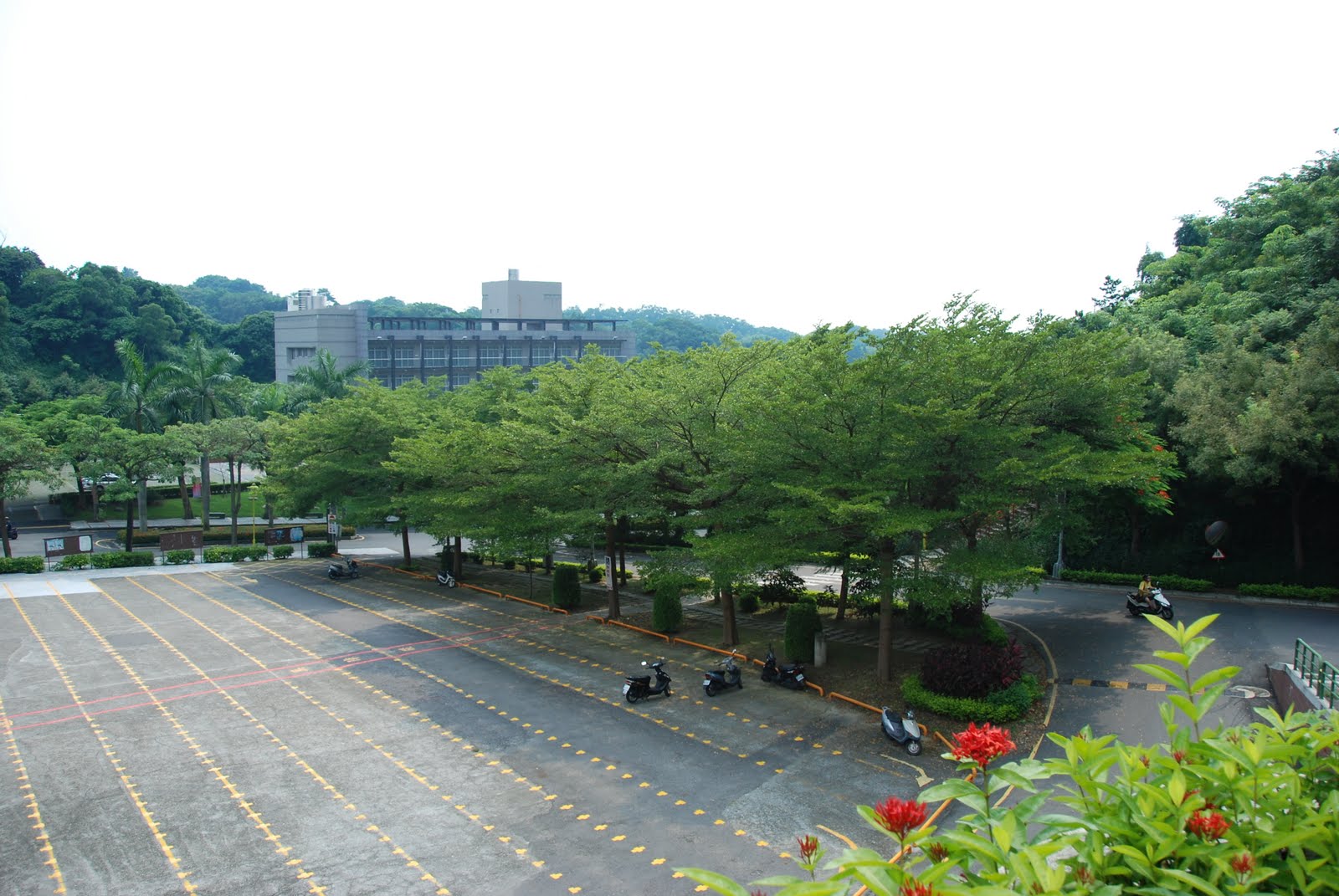 Mookoo's Home (木咕子的家): Meeting Robert at Dayeh University