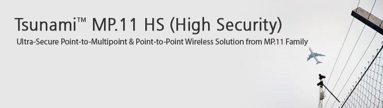 Adaptors: January 2011