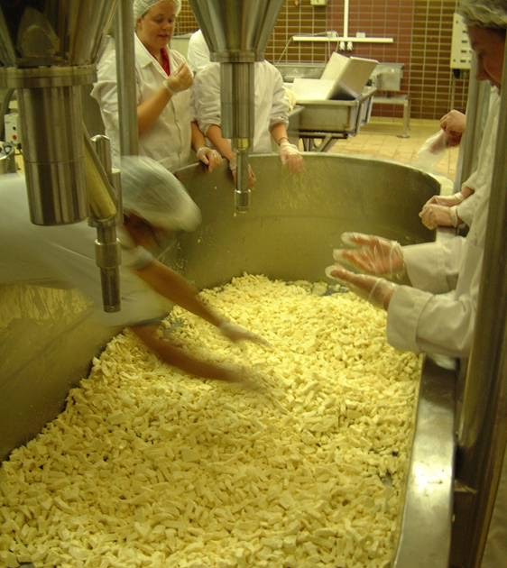 CheeseScience.net: Salting-III. How is cheese salted?