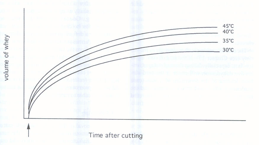 CheeseScience.net: Syneresis- IV