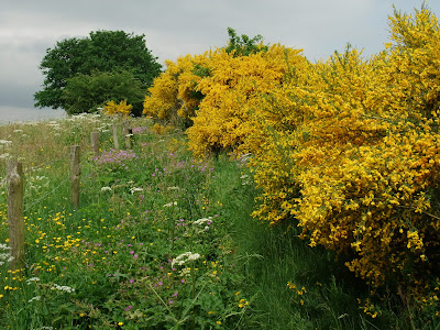La Grande Toge Rouge
