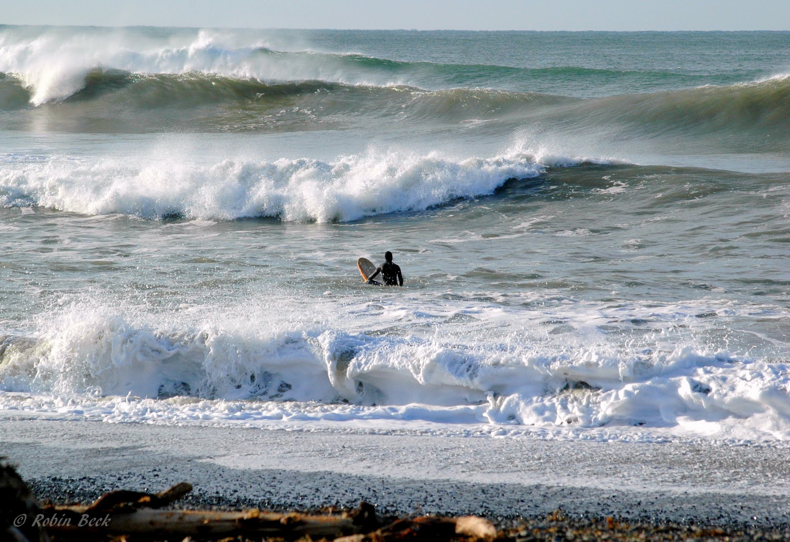 The Robin's Nest: La Push Baby...