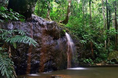 TERATAK IMPIAN BUKIT LALA: HUTAN LIPUR BUKIT WANG - KEDAH
