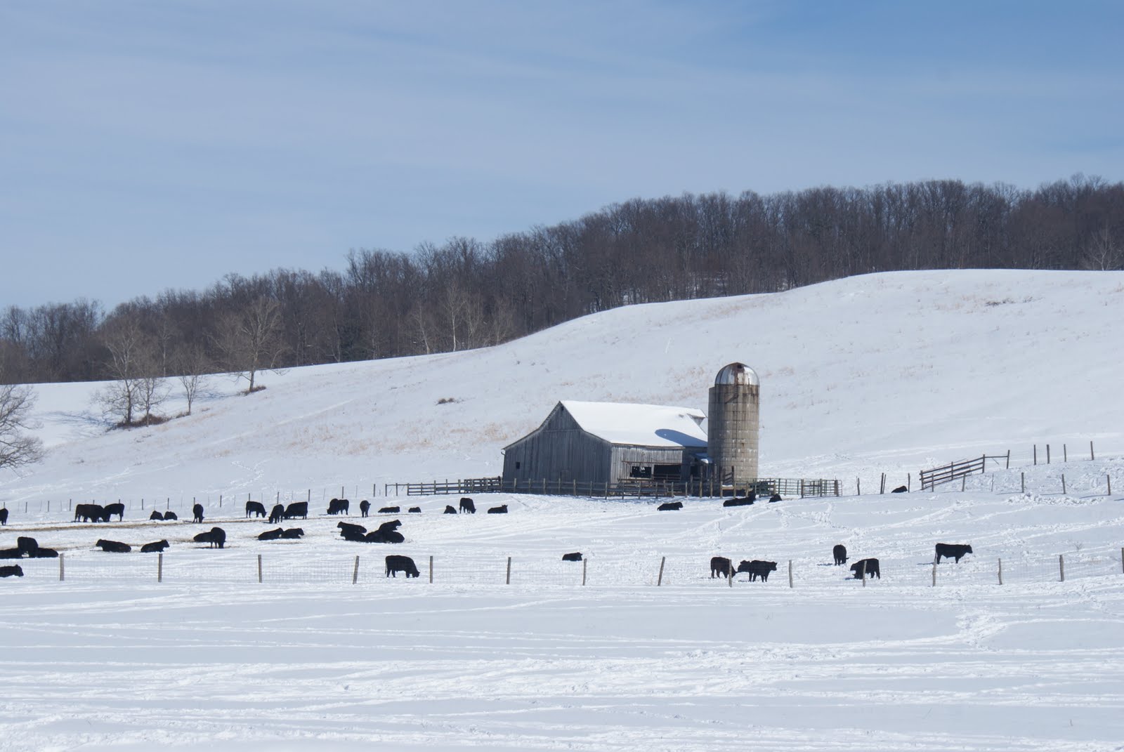 YankeePhil: Swoope Virginia Farmer included in Reason Video