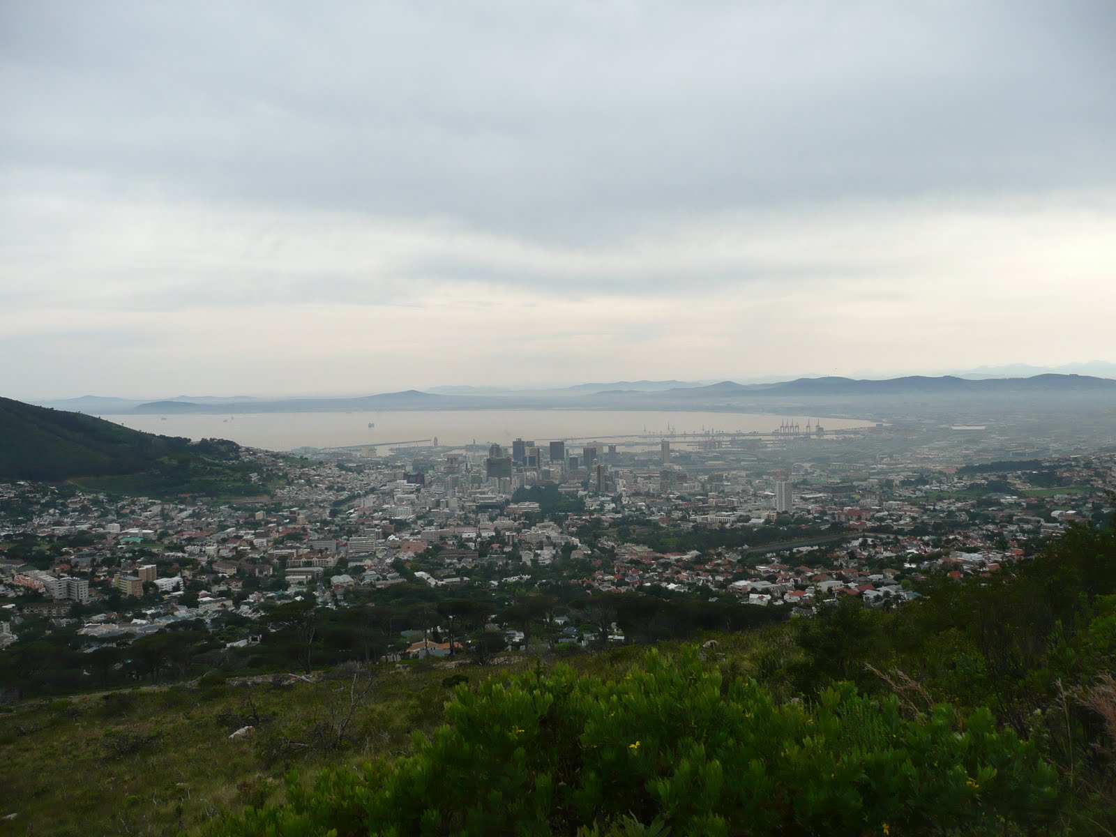 schiller-wine: A Day in Cape Town's Wine Cellars and Vineyards ...