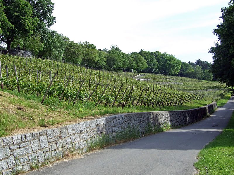 schiller-wine: Wine in Frankfurt am Main? - Weingut der Stadt Frankfurt ...