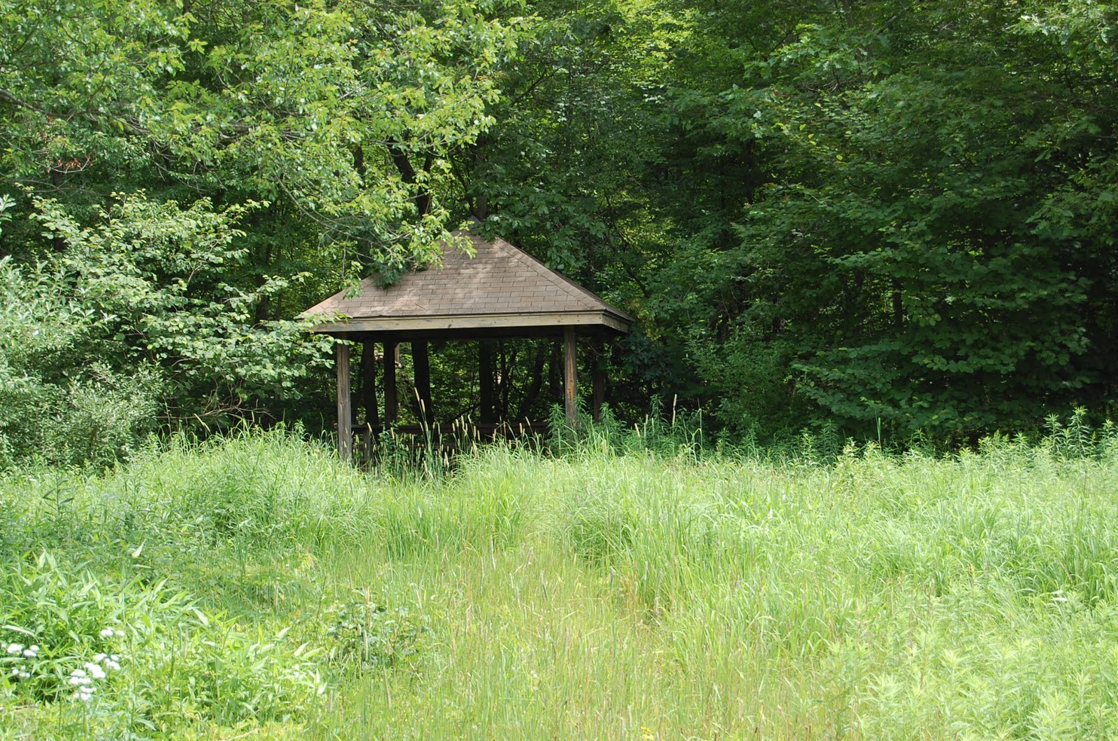 Hell's Acres: The Ruins of Laughing Brook, Part 1