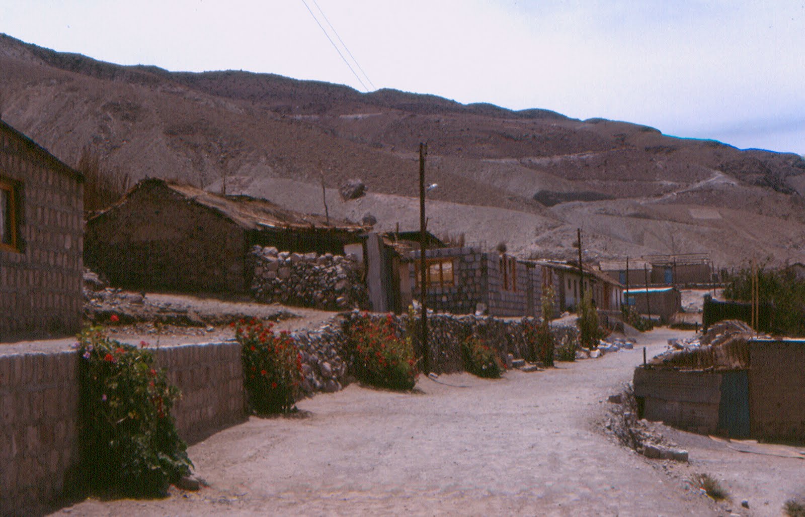 Chile Sorprendente : Parca. Iquique