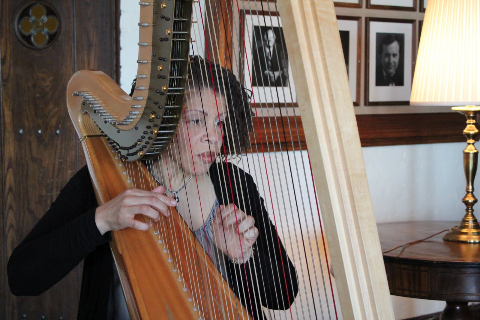 Fine Arts Society of Detroit: The Modern Harp Quartet