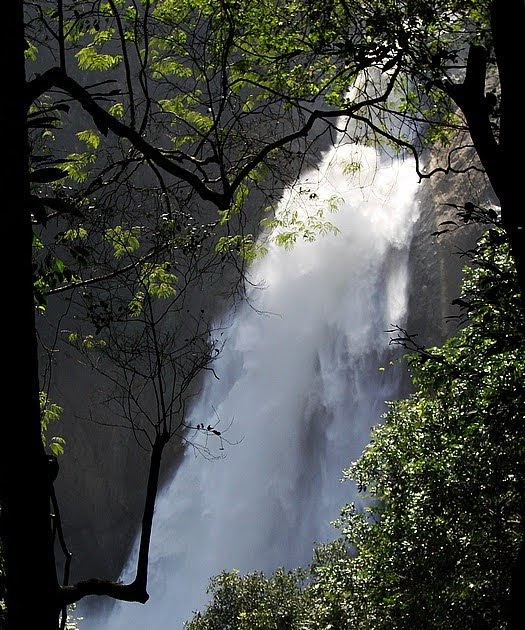 sri lanka tourist: Dunhida water Fall