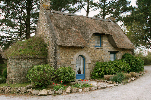 Pink Forest Calling: Cottage Scenes