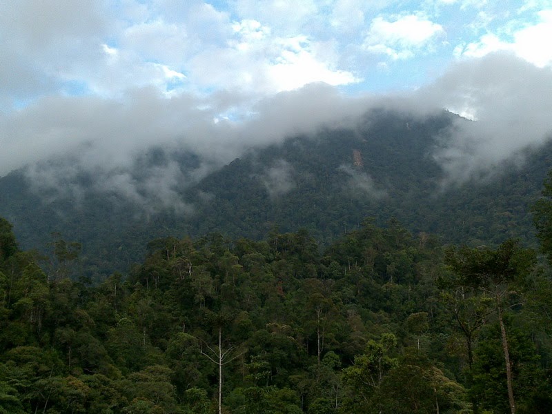 Haddy's Back 2 Nature " EXPLORE NATURE BEYOND LIMITS": MOUNT PAGON