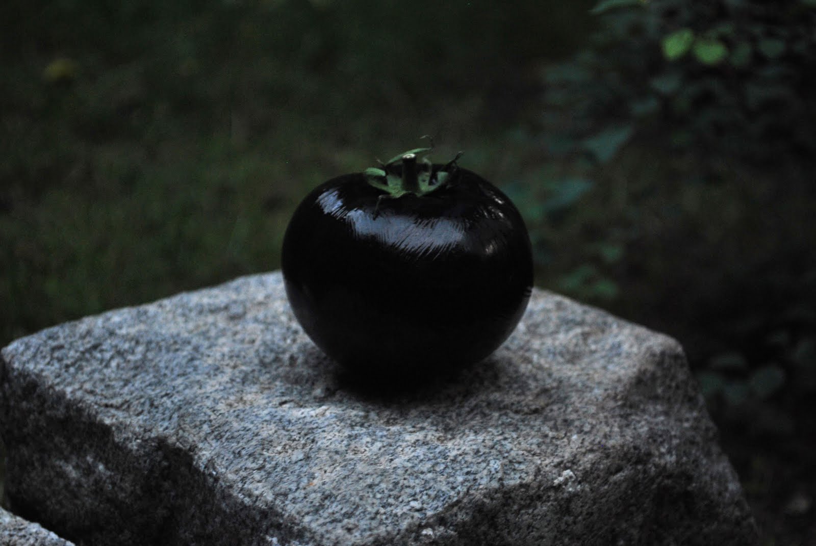 MIA ORSAG: BLACK TOMATO