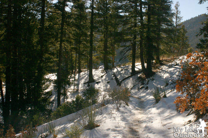 Section 16 Palmer Loop Trail - Colorado Springs, Colorado - My Life ...