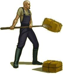 Club Caballow: las profesiones en caballow y como trabajar