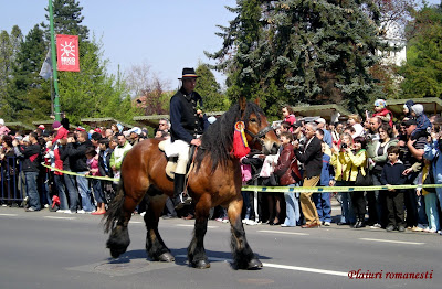 Plaiuri romanesti: Junii Brasovului
