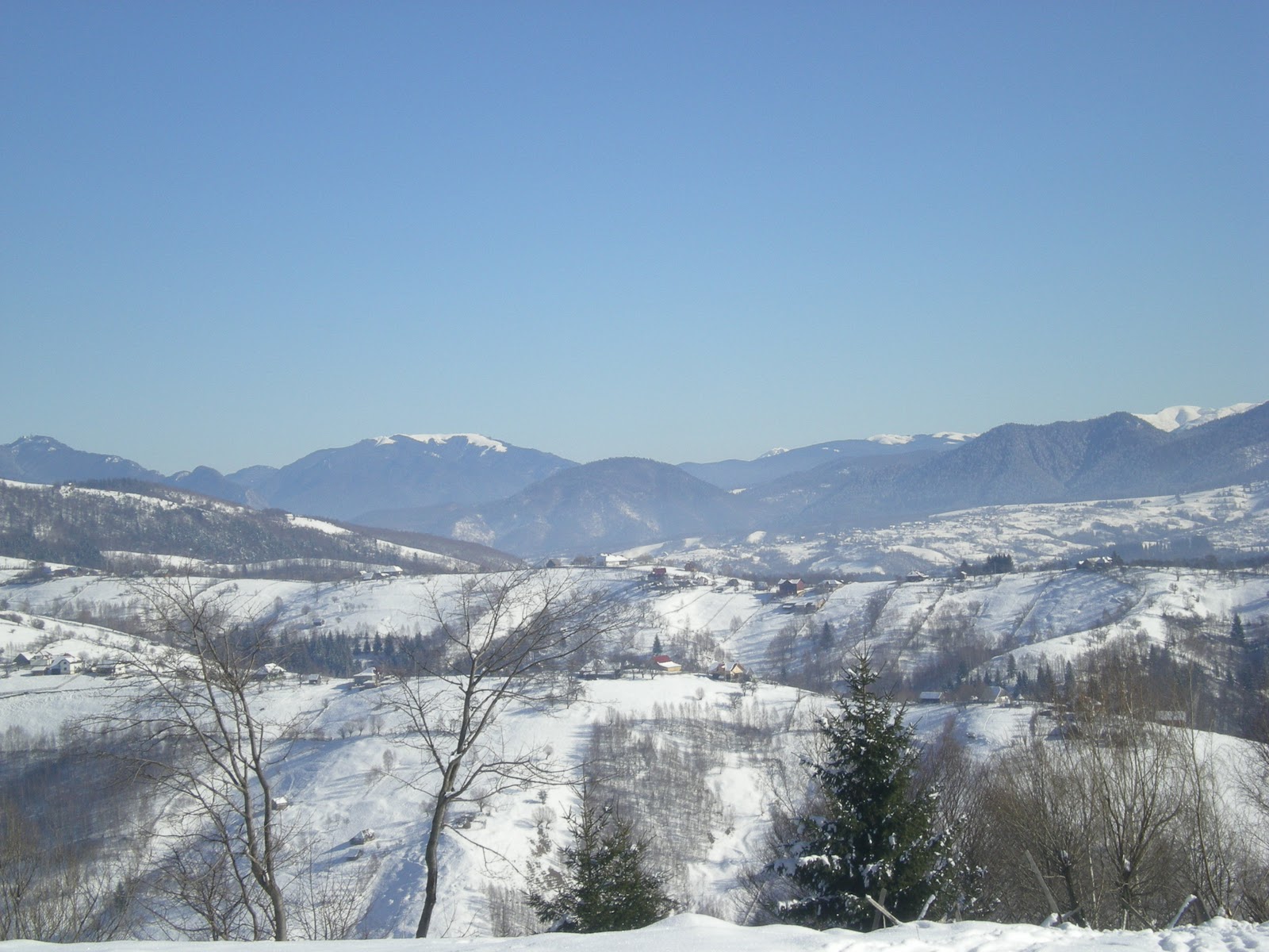 Plaiuri romanesti: Satul Pestera