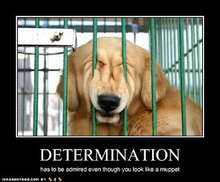 Blog of Author Michelle McLean: Friday Funnies