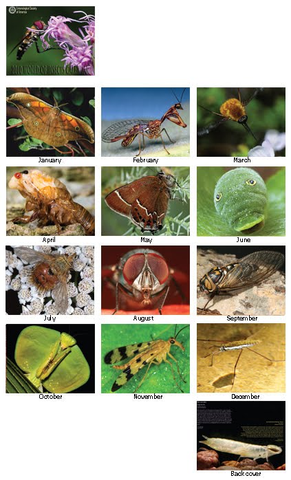 Entomological Society of America (ESA): 2010 World of Insects Calendar ...