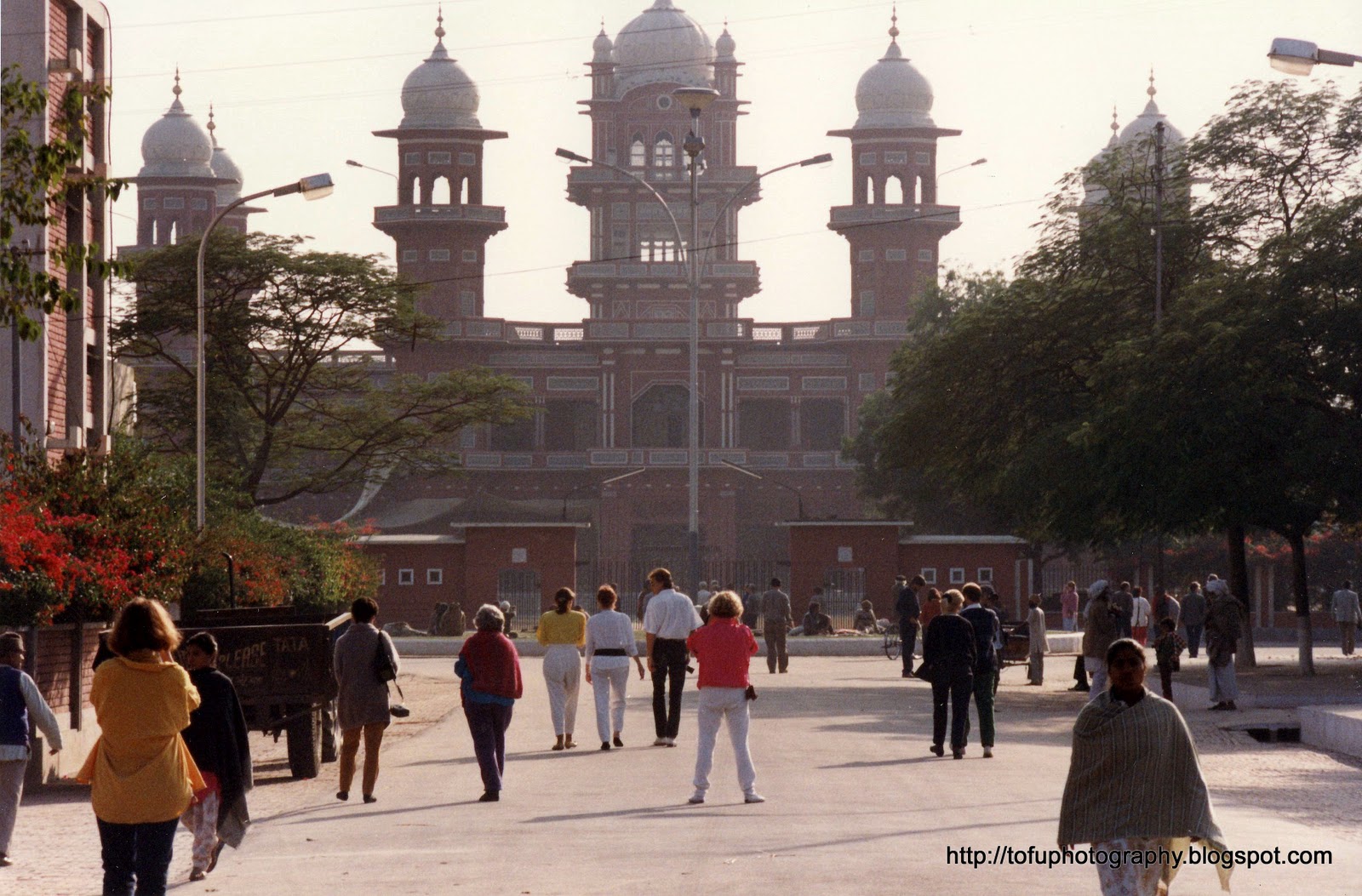 Tofu Photography: Satsanghar