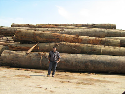 WOOD: Bangkirai or Selangan Batu or Yellow Balau wood.