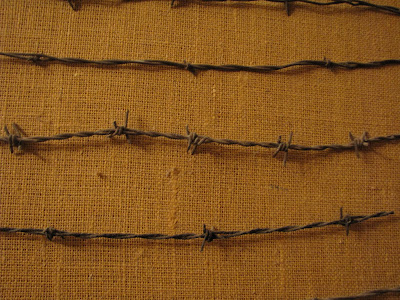 Quilting In The BunkHouse: Babies & Barbed Wire.