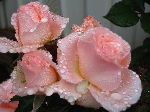 Cassandra Considers: My Favorite Things