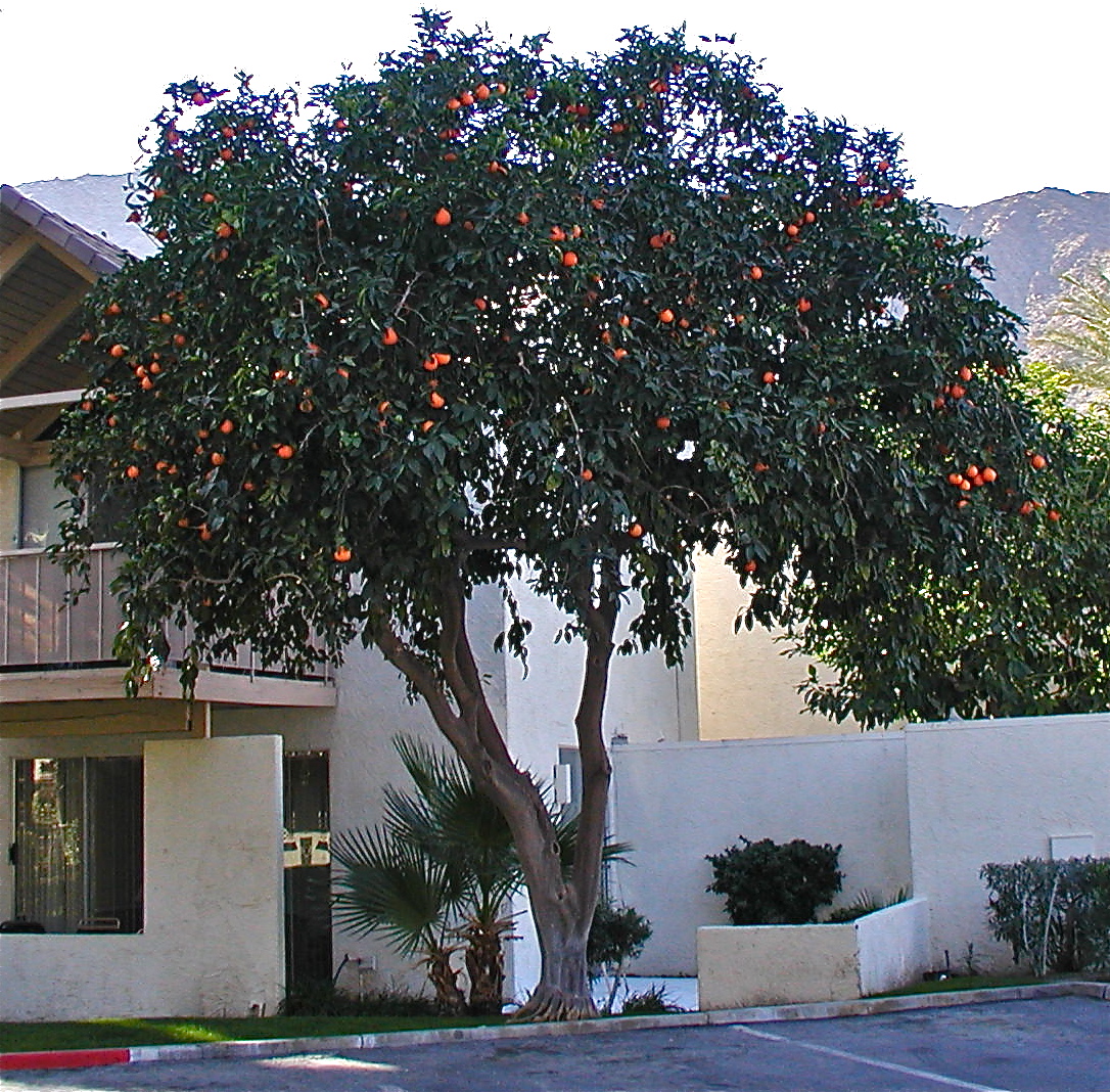 Getting Raw: January 2011