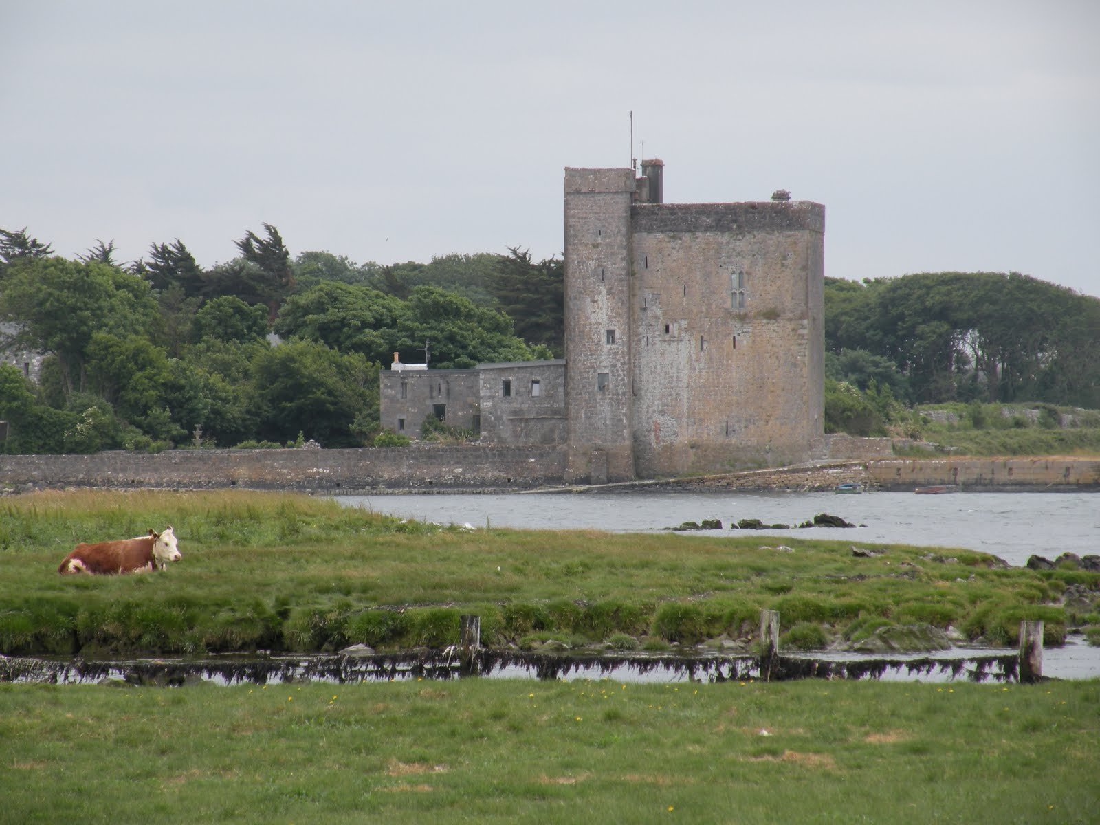 Our Year in Ireland: June 19 - Oranmore Village
