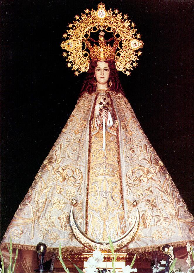 NUEVE DIAS PARA VOLVER A VERTE