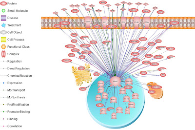 NR4A2 gene - Human Genes