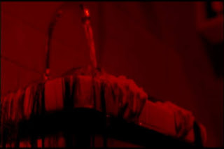 THE TEMPLE OF GHOUL: SHUTTER (2004)