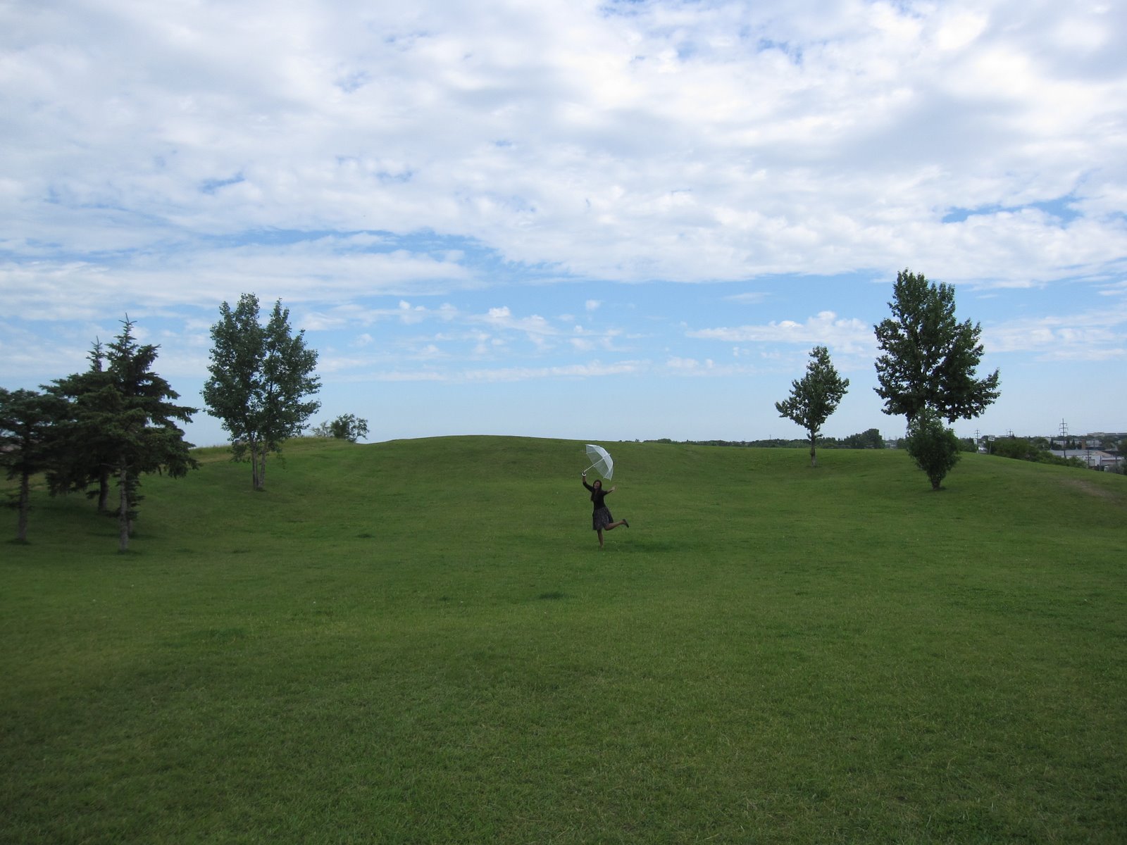 sending postcards: garbage hill