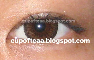 Cup of Teaa!: Geo Lens Review: Fresh Brown, Honey Wing, Geo Tri Color Brown