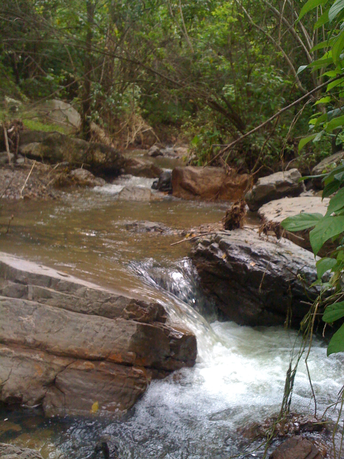 CALIHUALA OAXACA: CALIHUALA OAX. GUAUUUU QUE LUGAR TAN BONITO EN CALIH