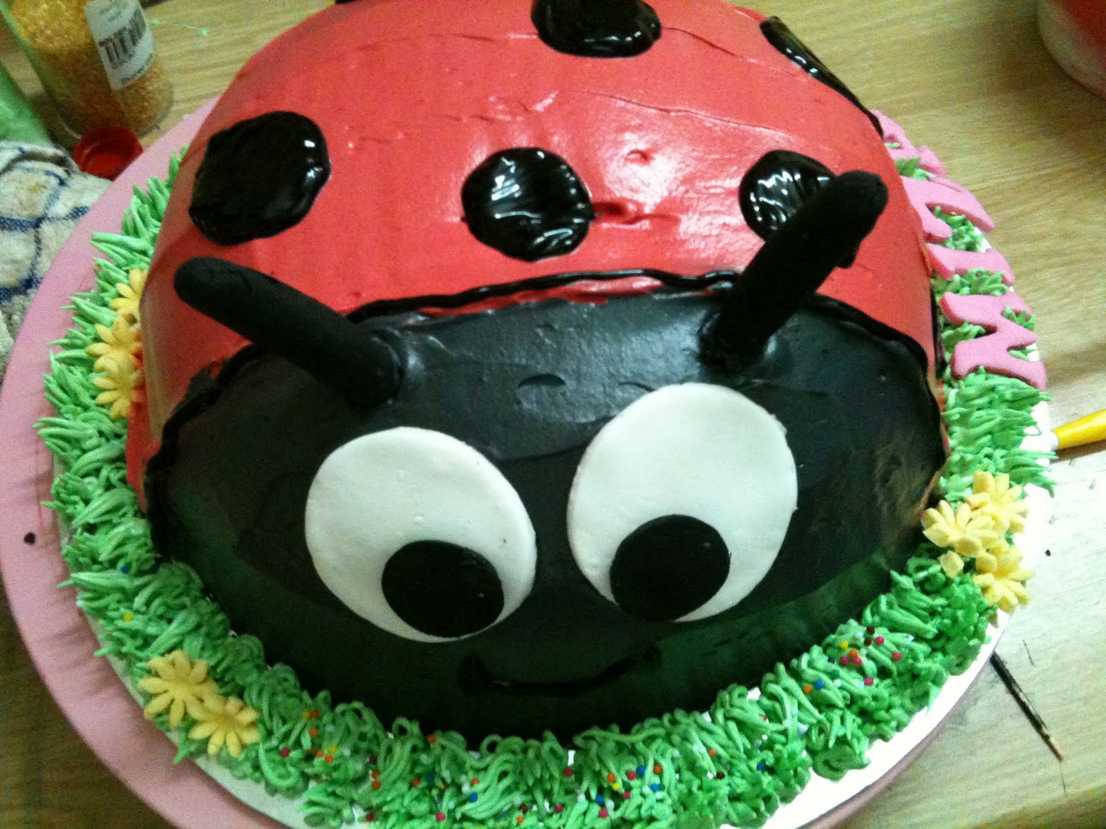 MamaBisya Cake House: LadyBird Choc Moist Cake